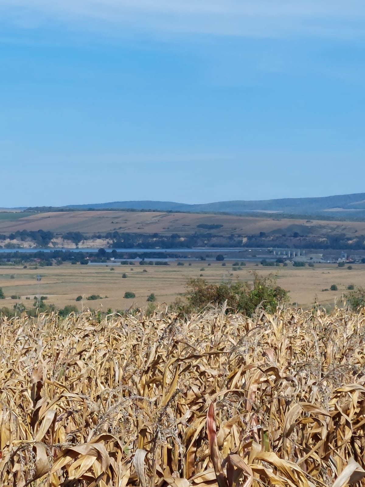 Photo Gallery - 9.500 sqm Land for Sale Racaciuni County Bacau City Romania