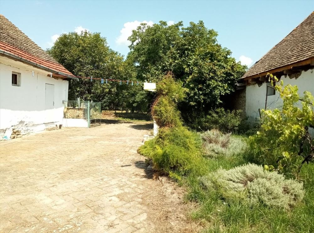 Houses for sale in Ratkovo-Odzaca (Serbia, Odzaci, Ratkovo) - Property ...
